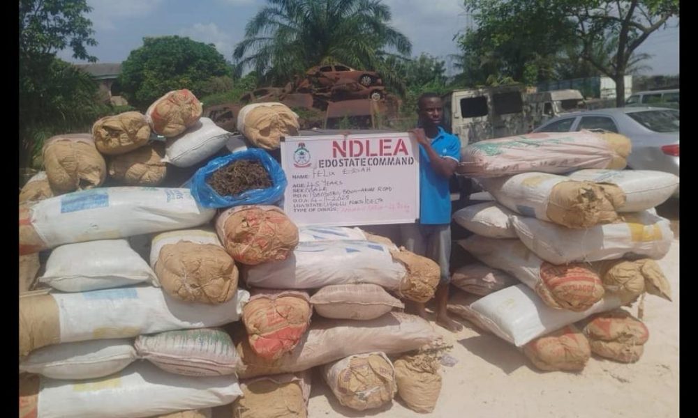 NDLEA Arrests Suspected Drug Baron ‘Chisco Bee’ in Lagos - Abuja City ...